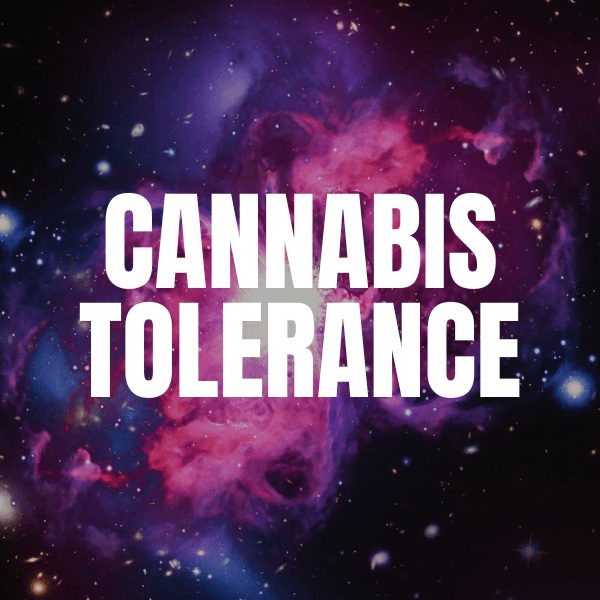 Understanding Cannabis Tolerance: Tips to Manage and Reset Your ...